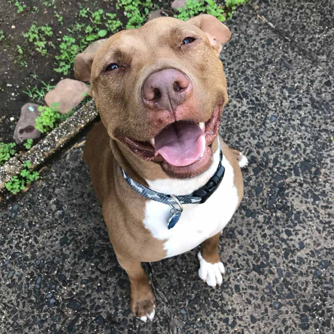 Middlesex College: Explore, Grow, Thrive