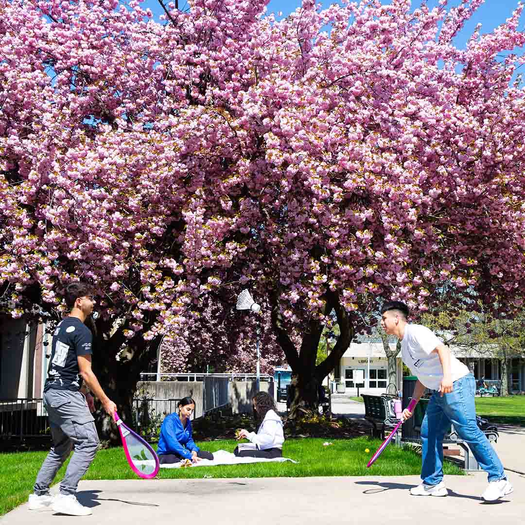 Middlesex College: Explore, Grow, Thrive